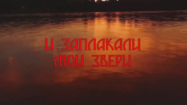 И заплакали мои звери / Гоша и Птицелов / аудиотрек из альбома #КИТЕЖ