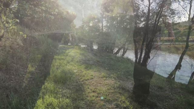 Встретили кота и кролика на реке