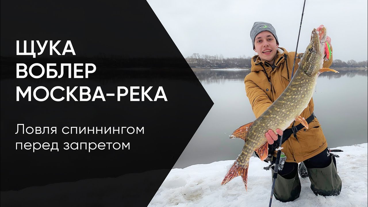 ВОТ ЭТО РЫБАЛКА! Москва-река раздаёт бонусы! Ловля щуки на спиннинг весной