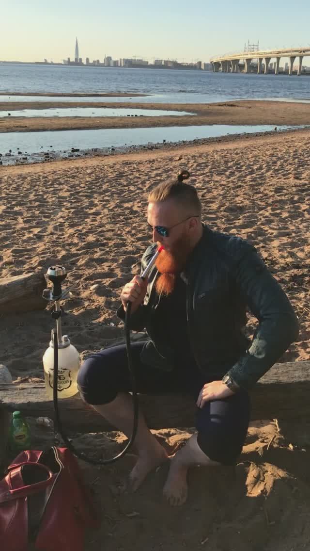 Анекдот про лягушек и крокодила