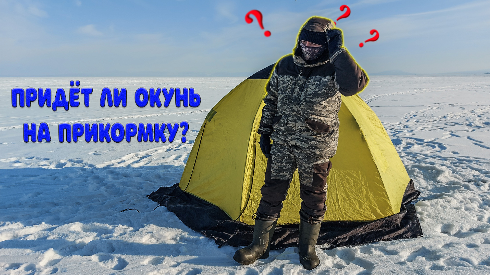 Прикормка для окуня. Подводная съёмка. Придёт ли окунь на прикормку с запахом червя