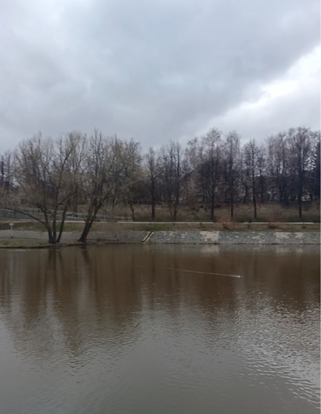 Весна полностью проснулась💚