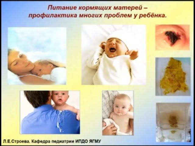 Питание кормящих матерей –  профилактика многих проблем у ребёнка. Доцент Строева Л.Е.
