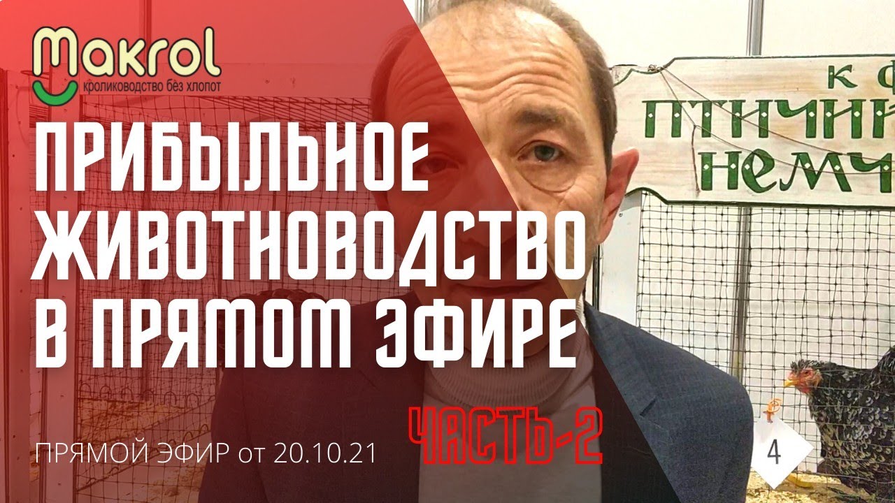 ?Конкурс кроликов и встреча кролиководов в ПРЯМОМ эфире Макляк Макрол ЧАСТЬ-2.