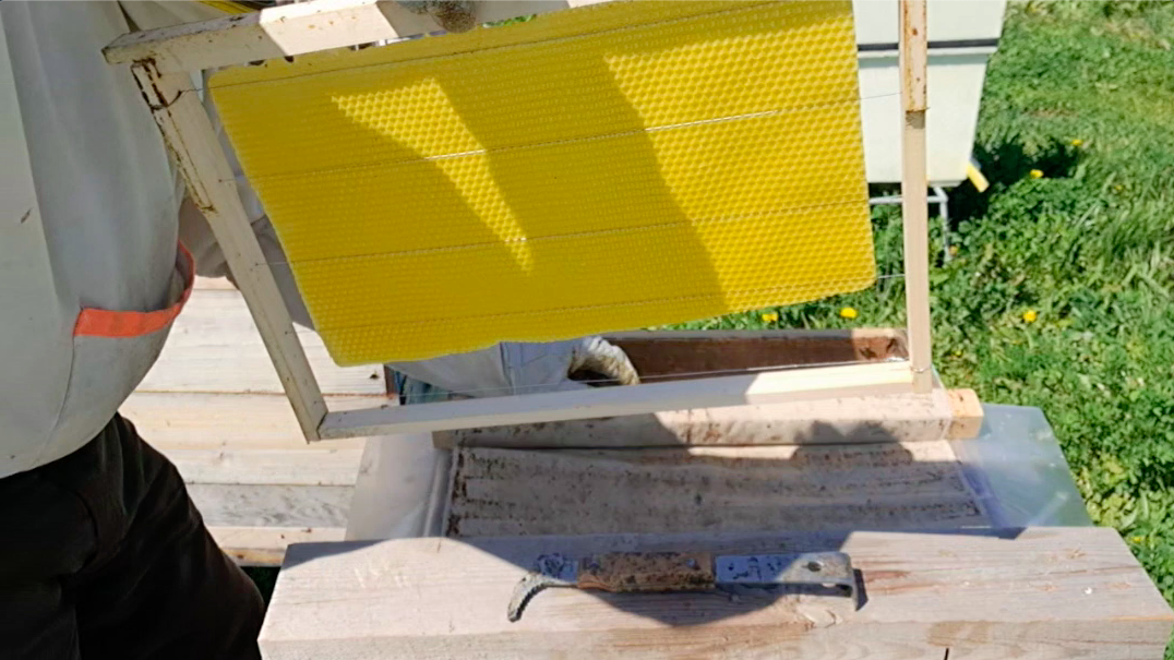 Будут ли пчёлы отстраивать вощину в безматочной семье?
