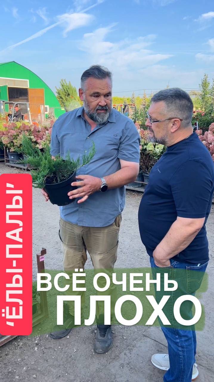 "Всё очень плохо!" или как мы справляемся сами!