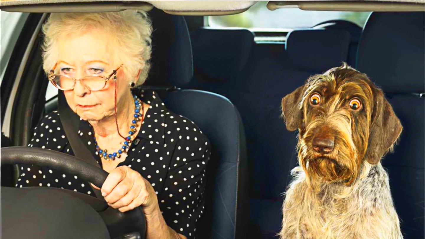 Про барбосов