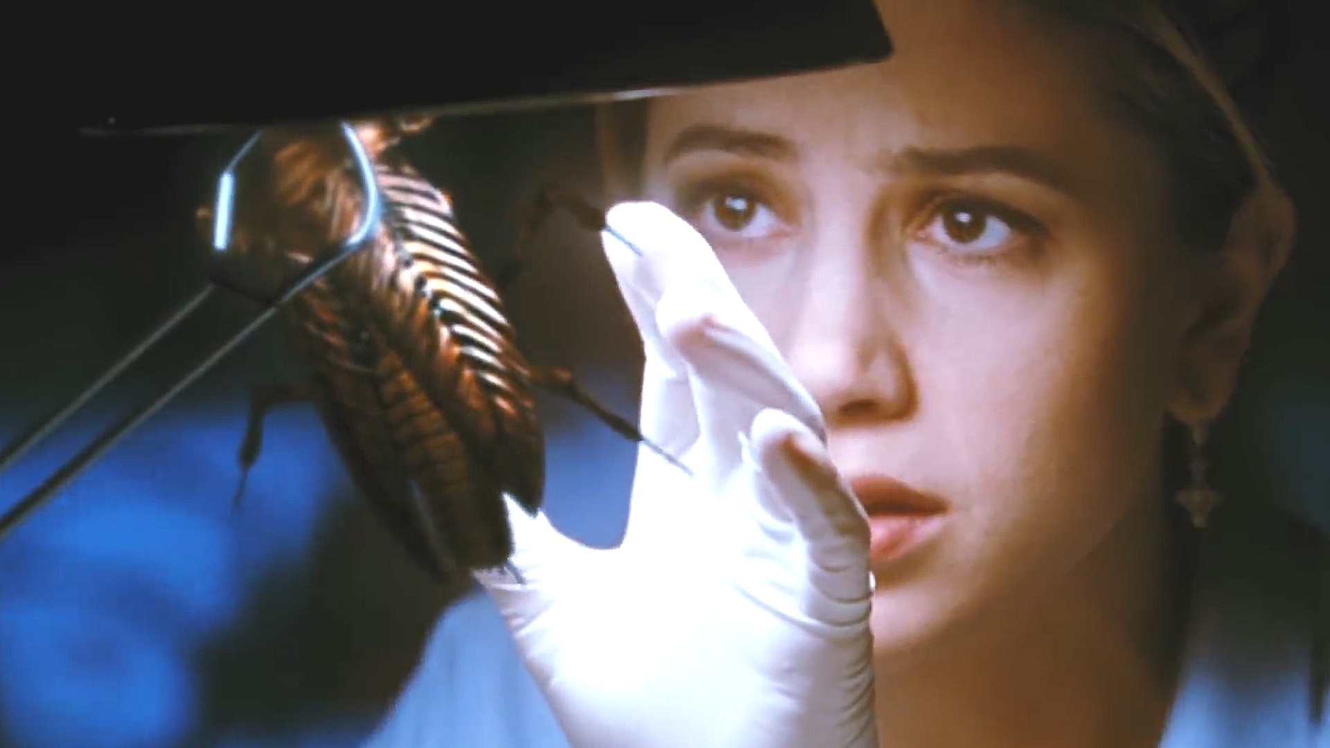 Нашествие жуков в Аргентине, вторжение насекомых.mp4