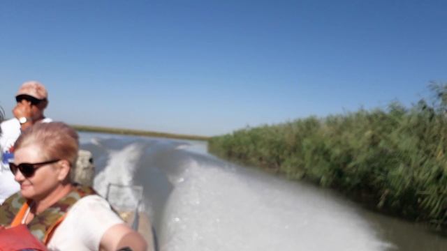 На катере по "лотосовым" лиманам Азовского моря. Приморско-Ахтарск