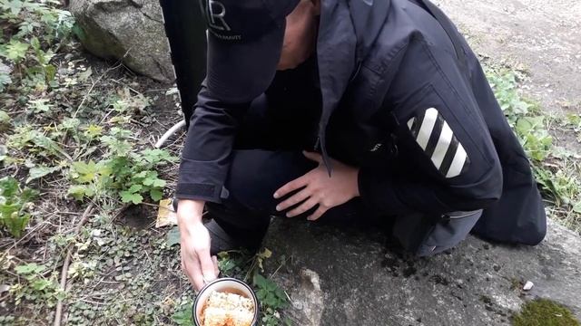 Как приготовить поесть в лесу