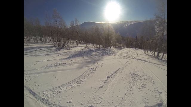 Приисковый 2-12-2022