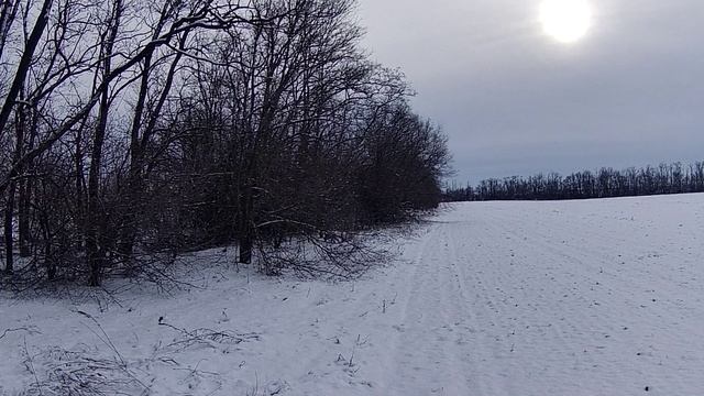 Чёткий выстрел на грани - охота на зайца