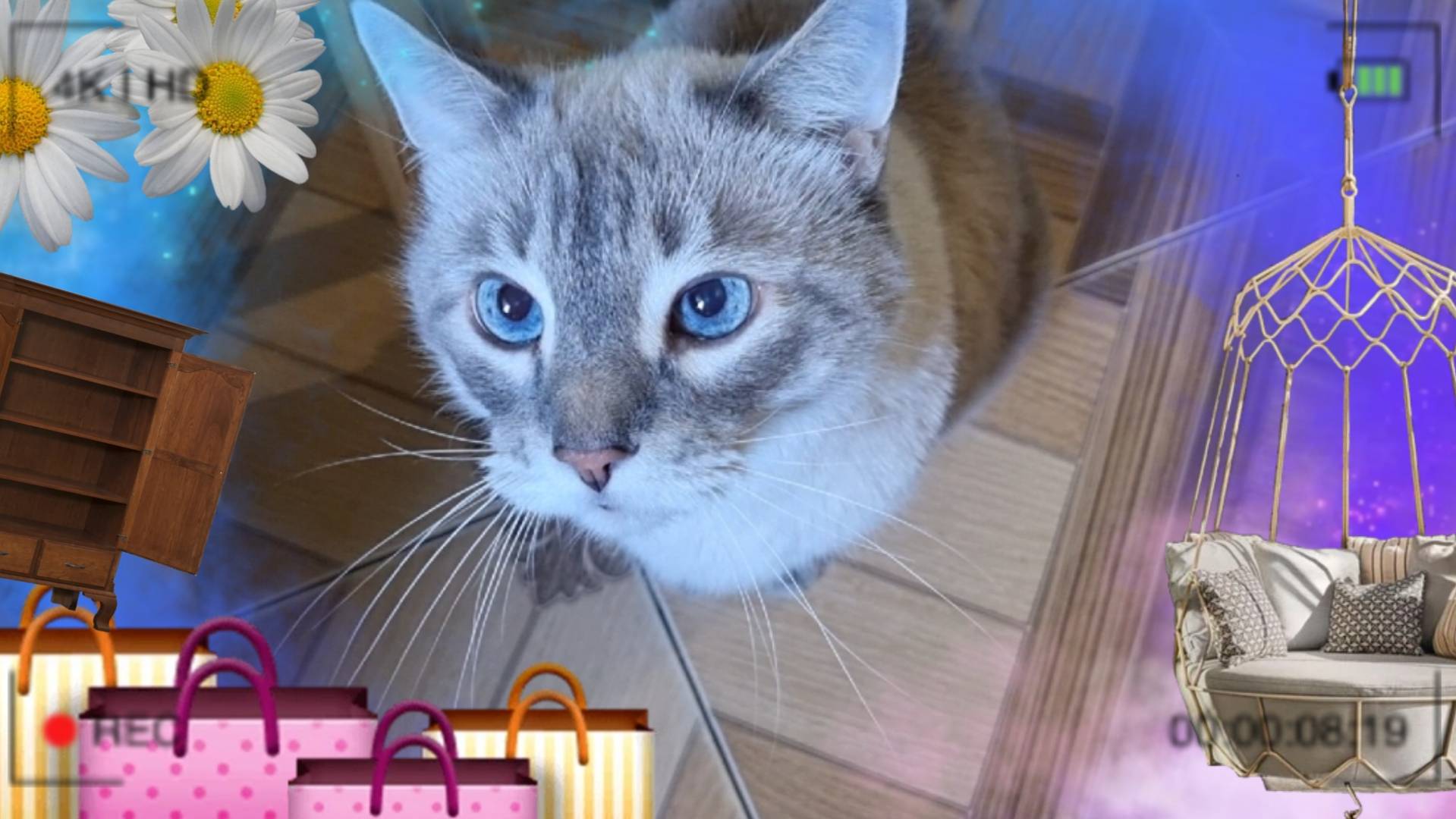 VLOG: БУДУ ЗАНИМАТЬСЯ ЙОГОЙ. ОБЗОР ПОКУПОК. ДАЧНЫЕ ДЕЛА.