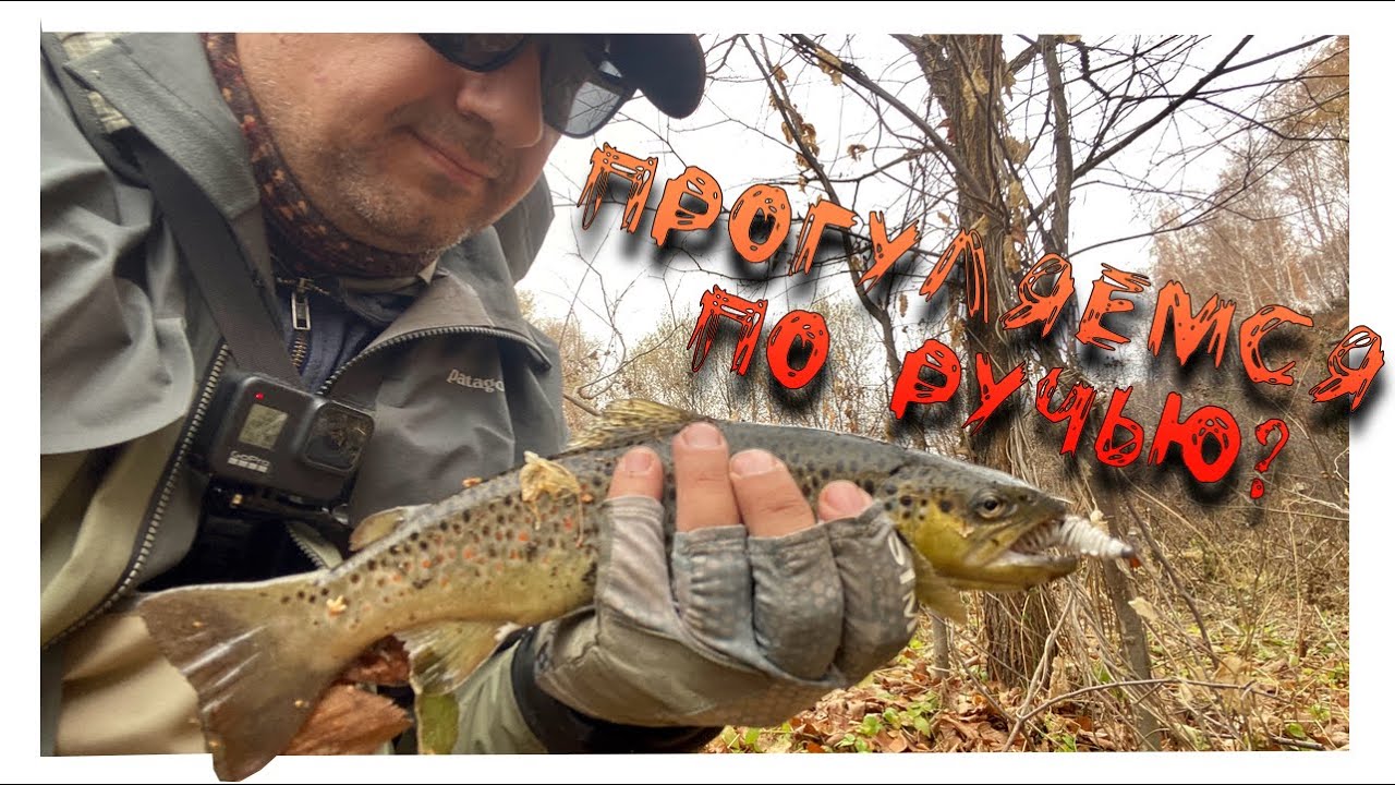 Прогуляемся по ручью?