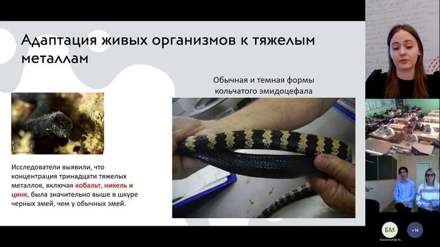 «Энергия разума». Научная онлайн-встреча «Тяжёлые металлы в экосистемах»