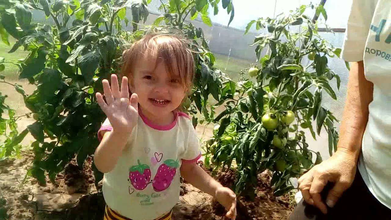 Такого мы не ждали Какие последствия