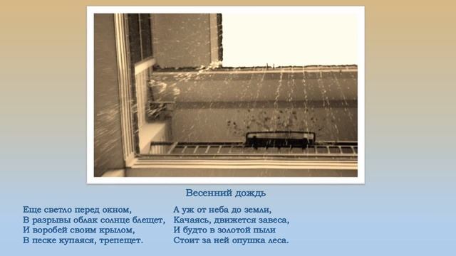 Выставка фото работ Карины Пак "Живой взгляд". 2014 год