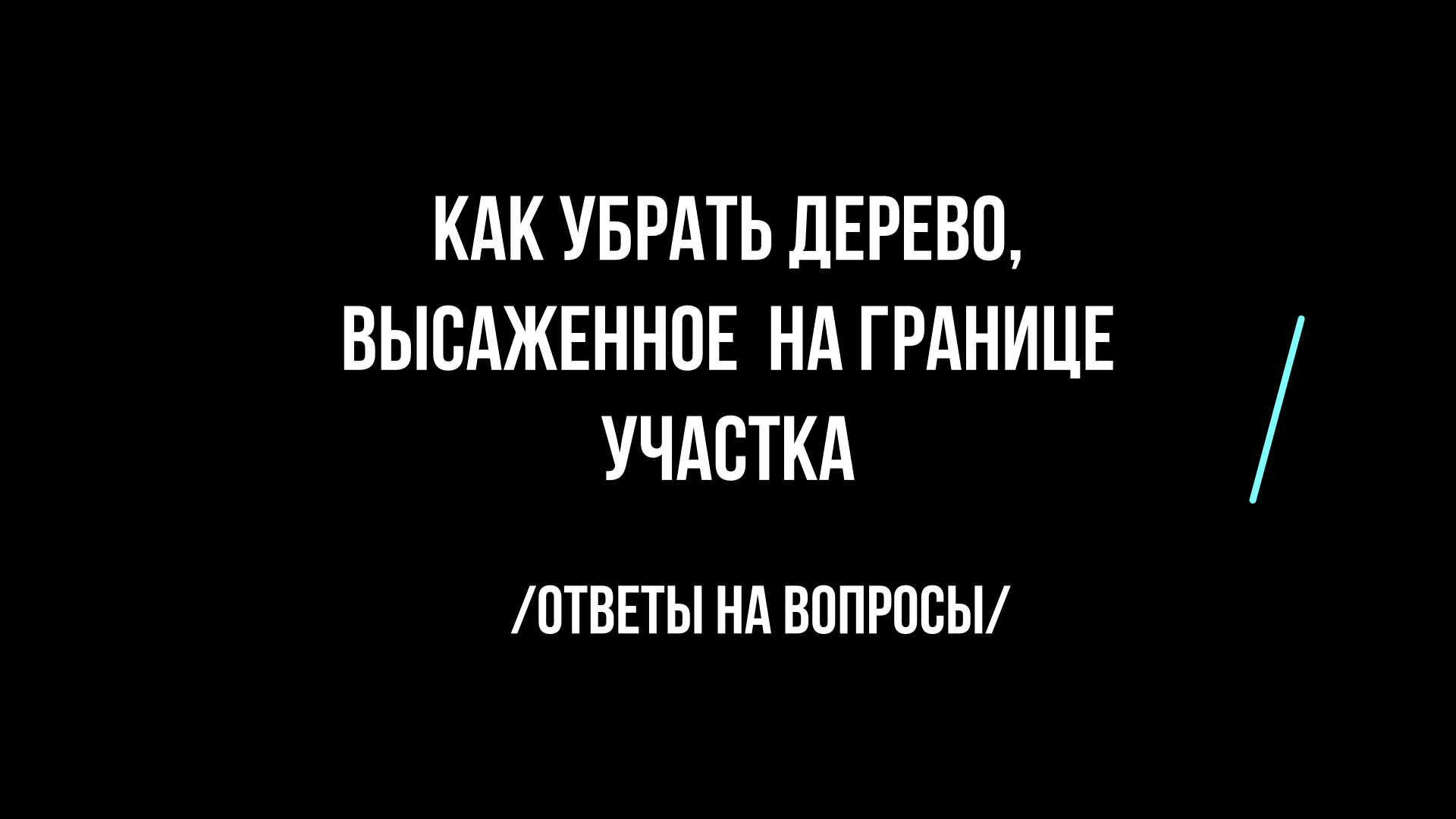 Как убрать дерево, высаженное на границе участка?