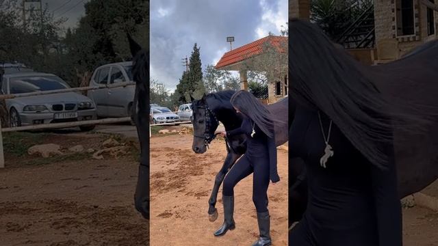 Девушка на коне