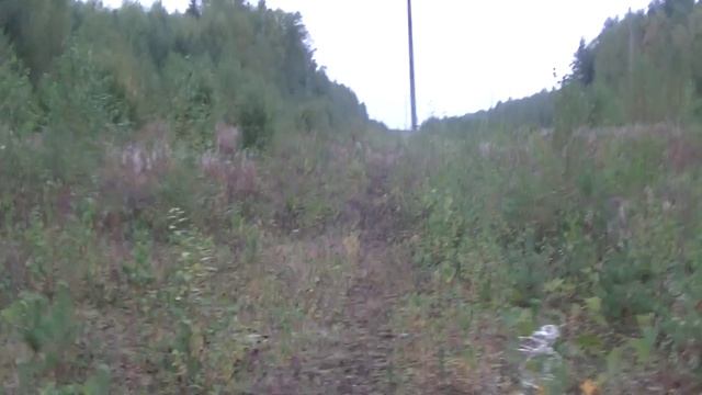 охот. осень 2022 (1).mp4