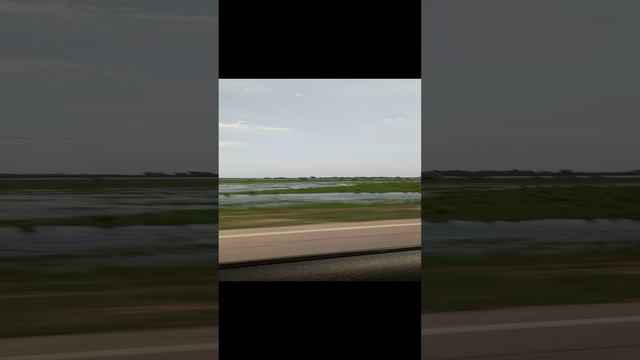 ❗Едем в Астрахань❗ #shortsvideo #shortvideo #video #funny #астрахань #shorts #short #рыбалка