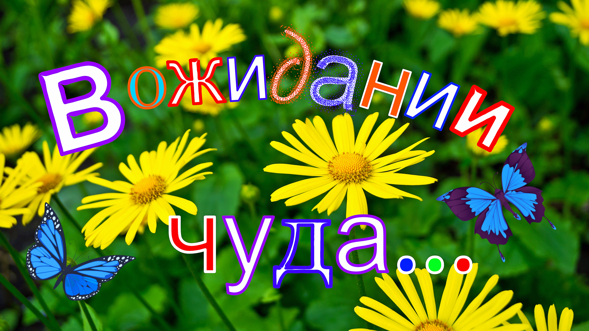 Олег Сапрыкин - "В ожидании чуда..."