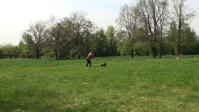 USDDN World Finals Qualifier. Елена и Умка..mp4