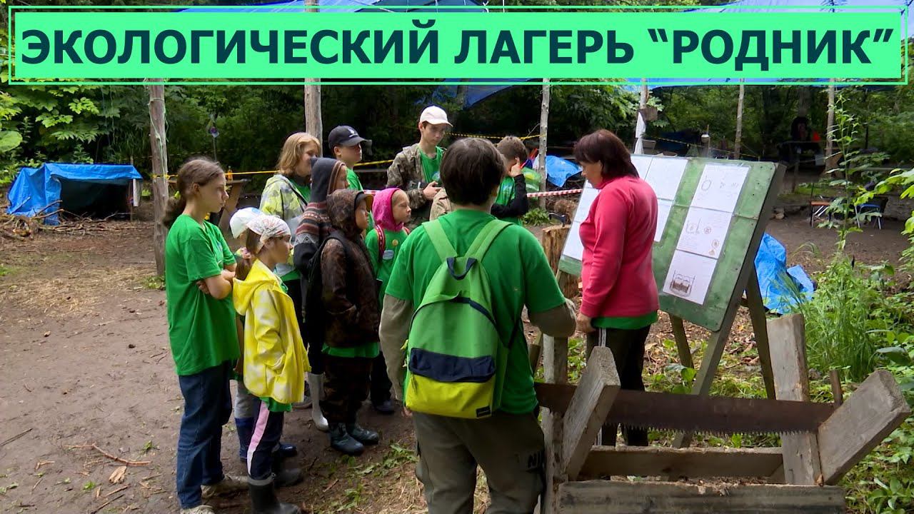 Участники экологического лагеря «Родник» прошли настоящую «лесную школу». Среда обитания 17.08.23