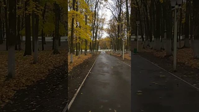 #рузаевка #мордовия #осень #парк