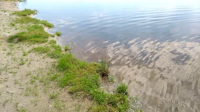 Житомирские Мальдивы, пляж в Гидропарке. 09.06.2021