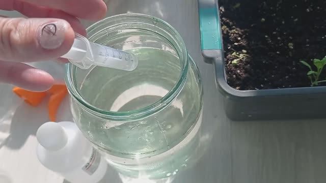 ПОДКОРМКА ПРОСТО СУПЕР!РАССАДА ОБРАДУЕТСЯ!#подкормка#подкормкарассады#подкормкарастений#подкормкадля