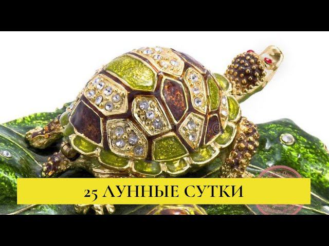 25 ЛУННЫЕ СУТКИ