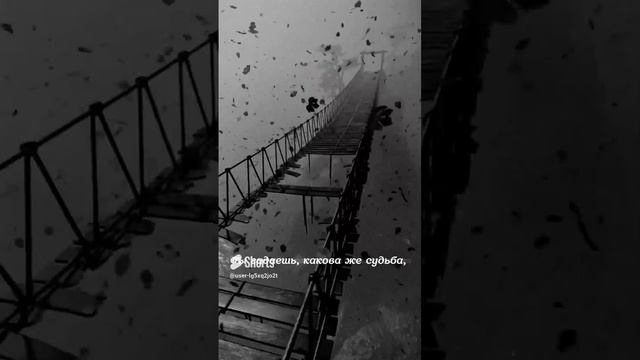 Стрелки_Йена Чиж#shorts #стихи #природа #любовь #любовные письма