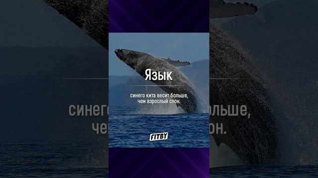 Интересные факты #рекомендации #факты