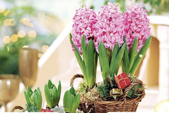 ВЕСНА уже пришла! Весна стучится в окна!