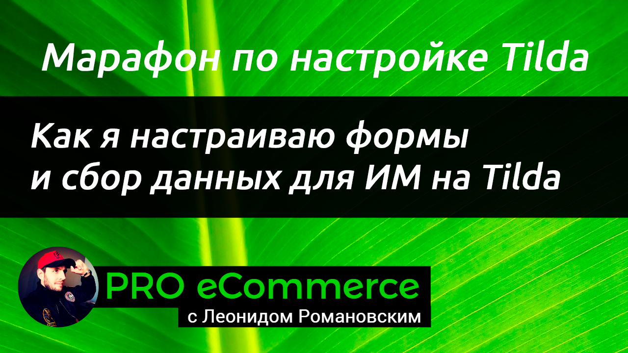 Как я настраиваю формы и сбор данных для интернет-магазина на Tilda