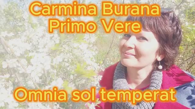 Кармина Бурана. Солнце согревает всё. (латынь)