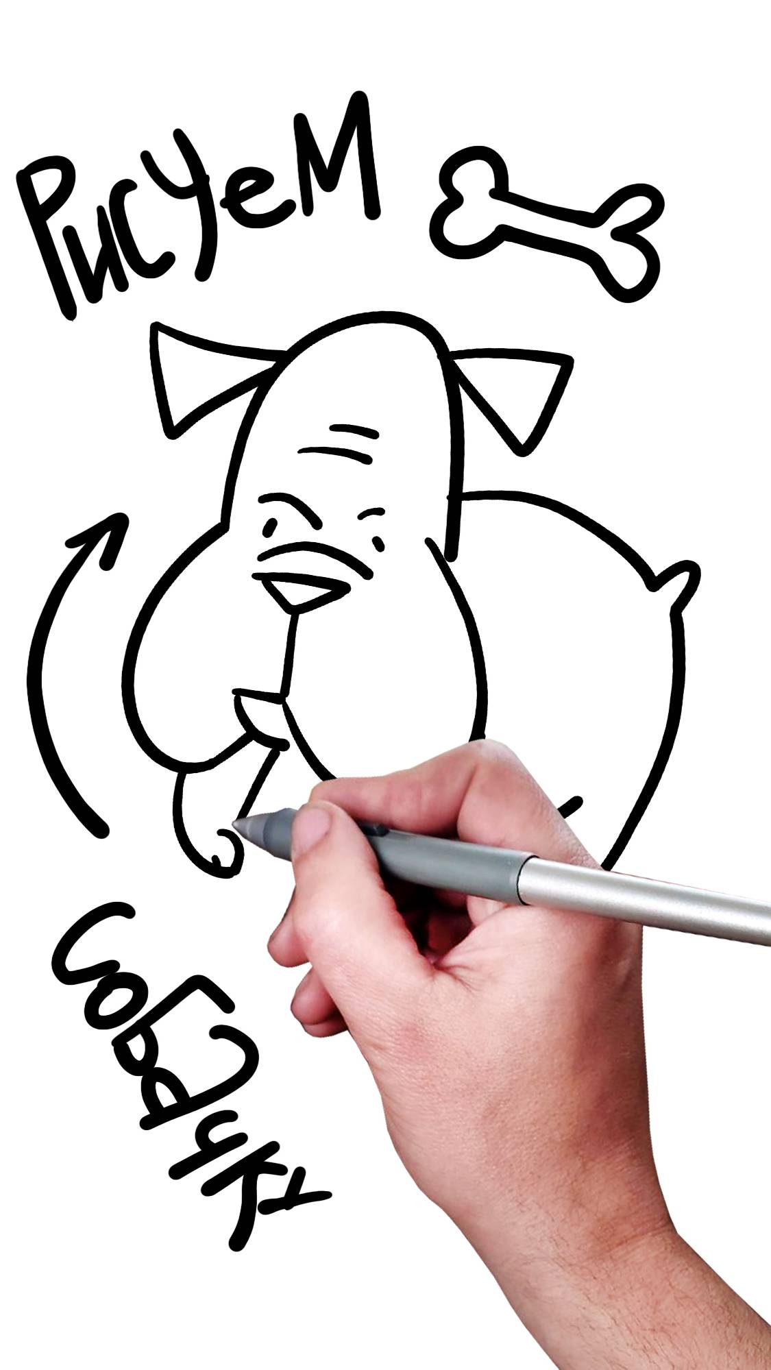 рисуем быстробульдожку #порисуем #рисуемсобачку #как нарисовать #юмор