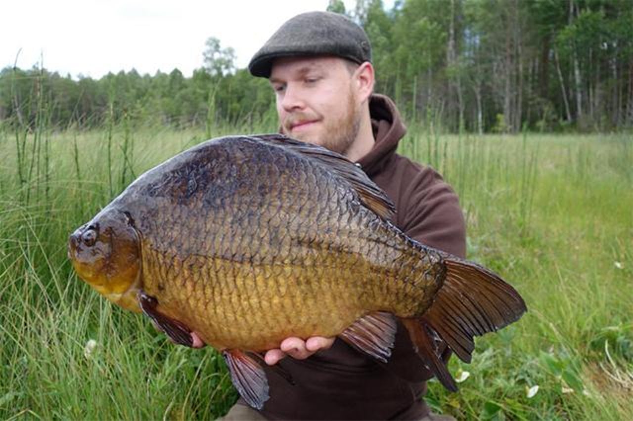 211.Первый Эксклюзив и Рекорд в Bear.mp4