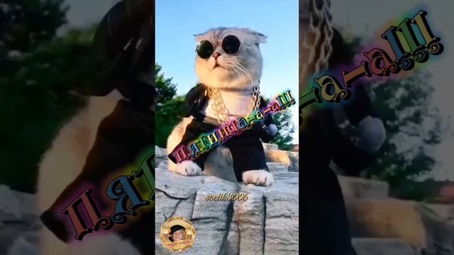 С Пятницей,  друзья! Юмор.