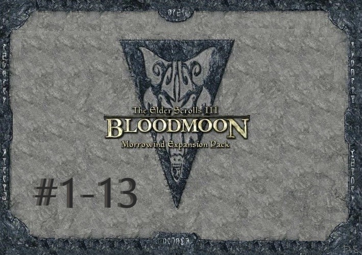 TESIII Bloodmoon #1-13 Сделать выбор, Строительство   (Воронья Скала).mp4