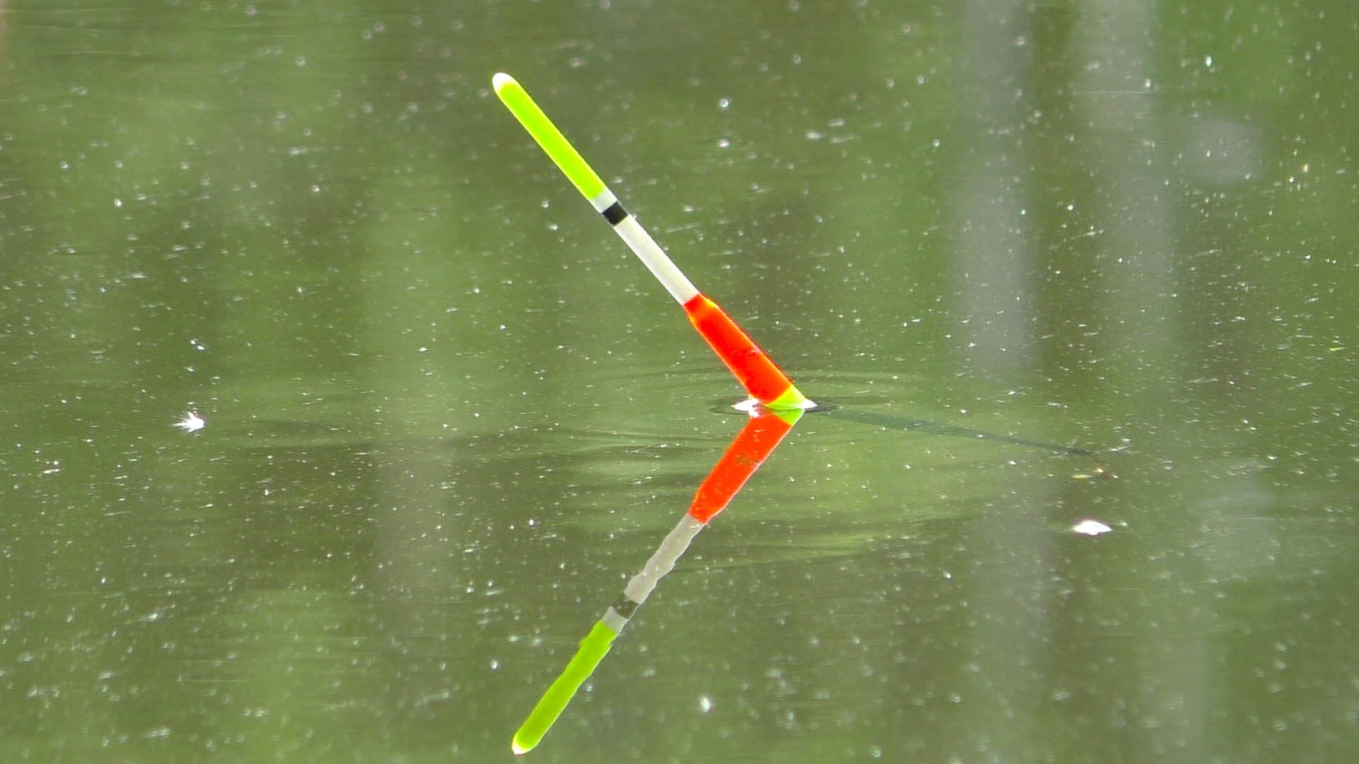 Золотой карась на поплавок. Рыбалка с ночевкой.