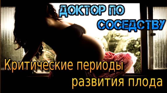 Критические периоды развития плода. Доктор по соседству.