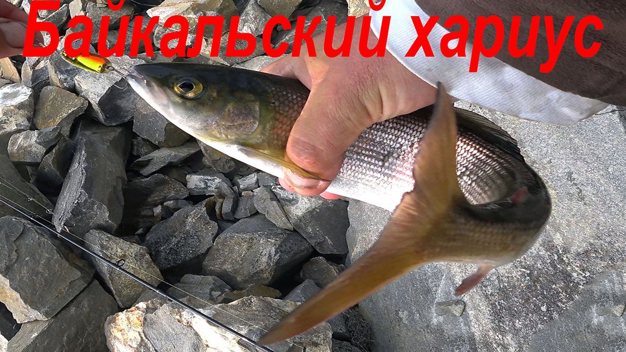 Отдых и рыбалка на хариуса на Байкале в бухте Орсо.