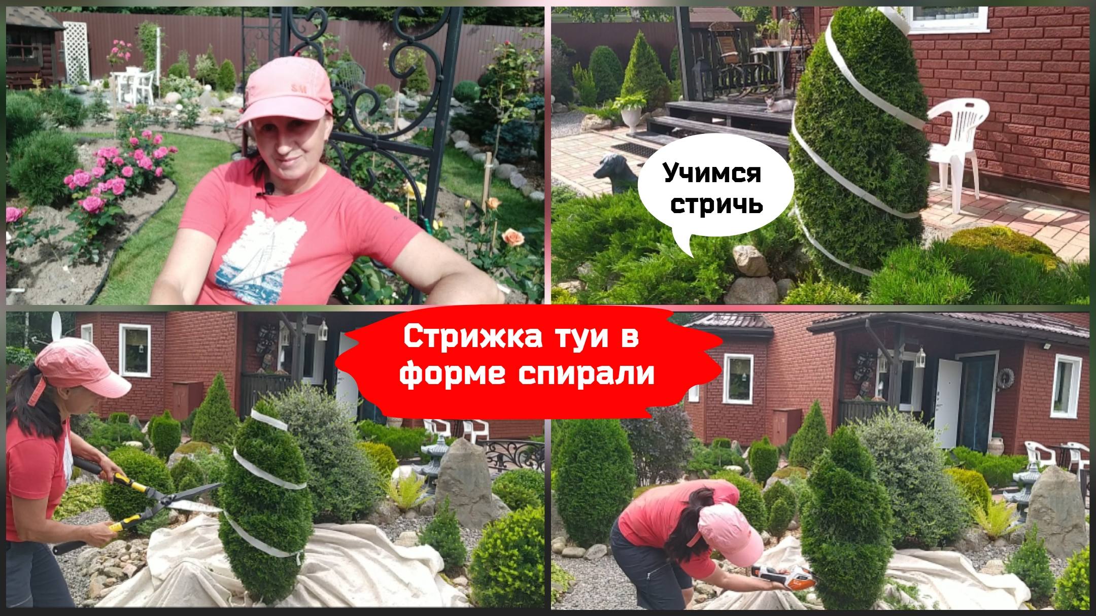 Стрижка туи в форме спирали.