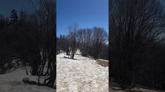 «Прогулки Рокки» Часть 5