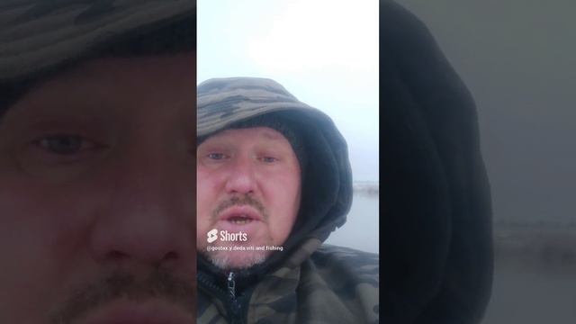 где ловить на лебедях_