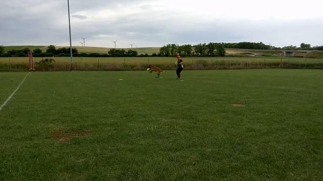 AWI Qualifier Austria'17 Gertrude & Dywara R2.mp4