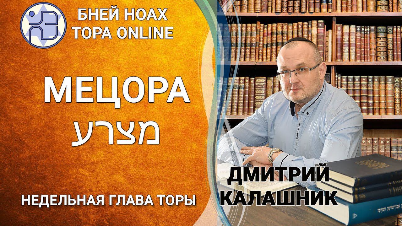 Недельная глава МЕЦОРА || Дмитрий Калашник || 5782