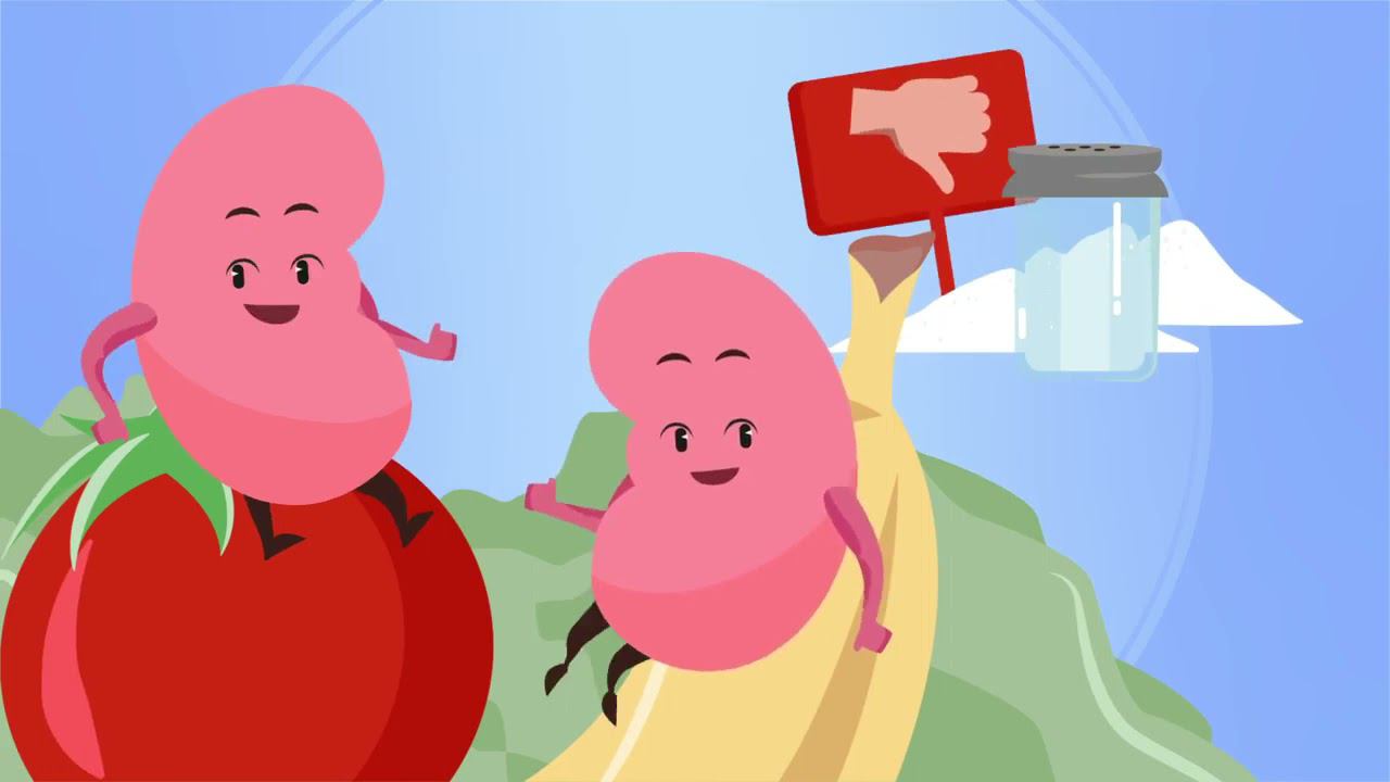 Здоровые почки | Дни осведомленности о здоровье почек